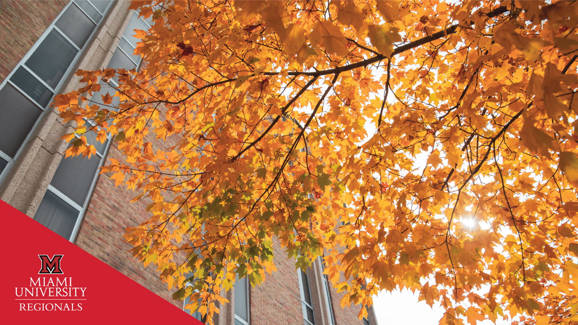 Zoom Backgrounds University Marketing Communications